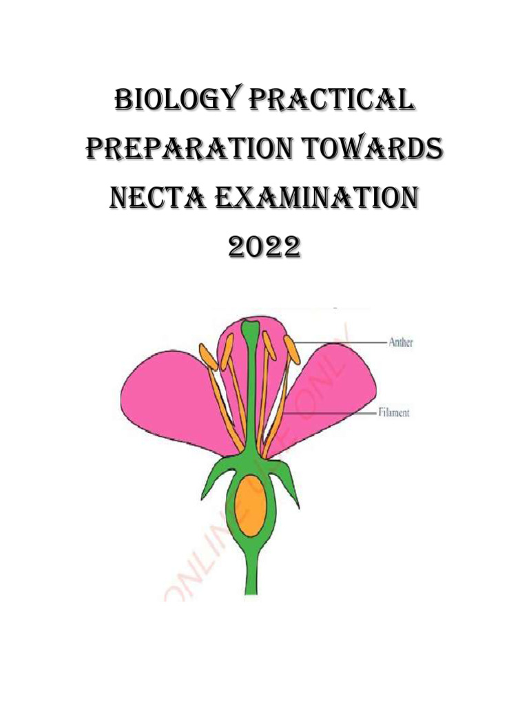 Biology Practical 1 Pdf Amphibian Insects