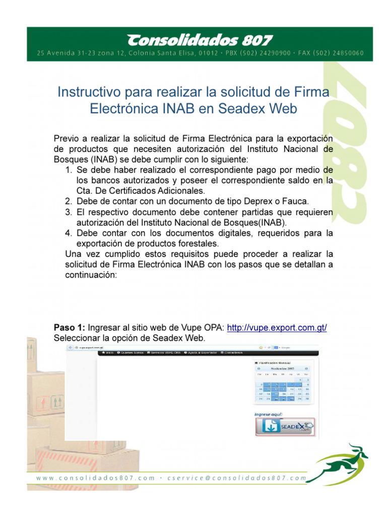 INSTRUCTIVO INAB | PDF | ciberespacio | Informática