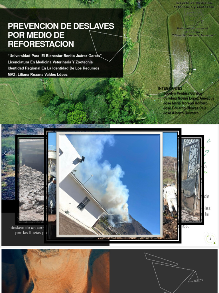 Prevencion de Deslaves Por Medio de Reforestacion | PDF | Semilla ...