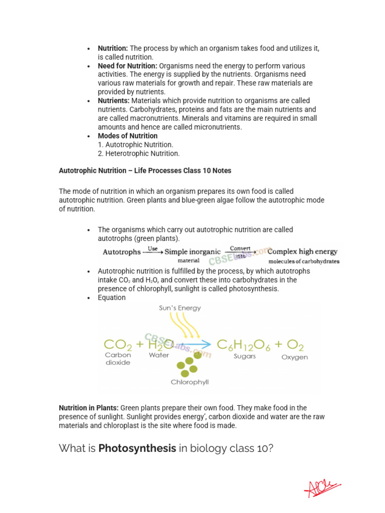 Holozoic Nutrition Overview and Chart | PDF | Digestion | Stoma