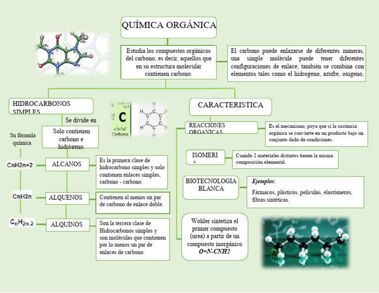 Mapa-conceptual-de-la-Quimica-Organica | PDF | Compuestos orgánicos ...