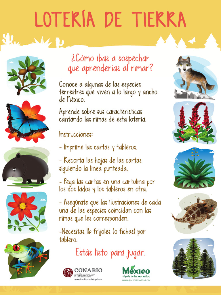 Loteria de Tierra Tableros | PDF