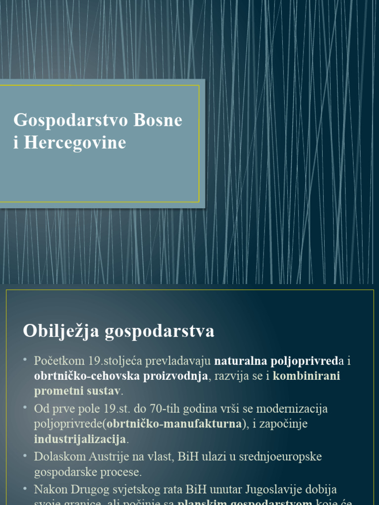 Gospodarstvo Bosne I Hercegovine | PDF
