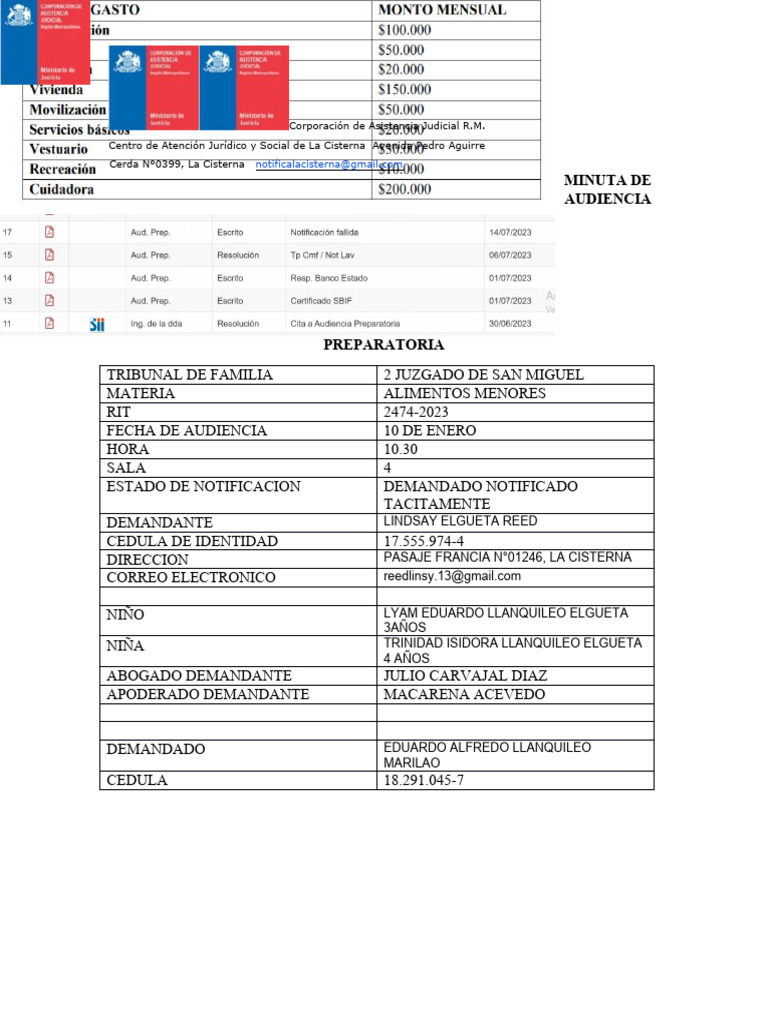 Minuta Audiencia Preparatoria Alimentos JPR | PDF | Gobierno | Justicia