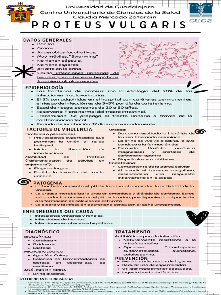 Proteus Vulgaris | PDF | Las bacterias | Infección del tracto urinario