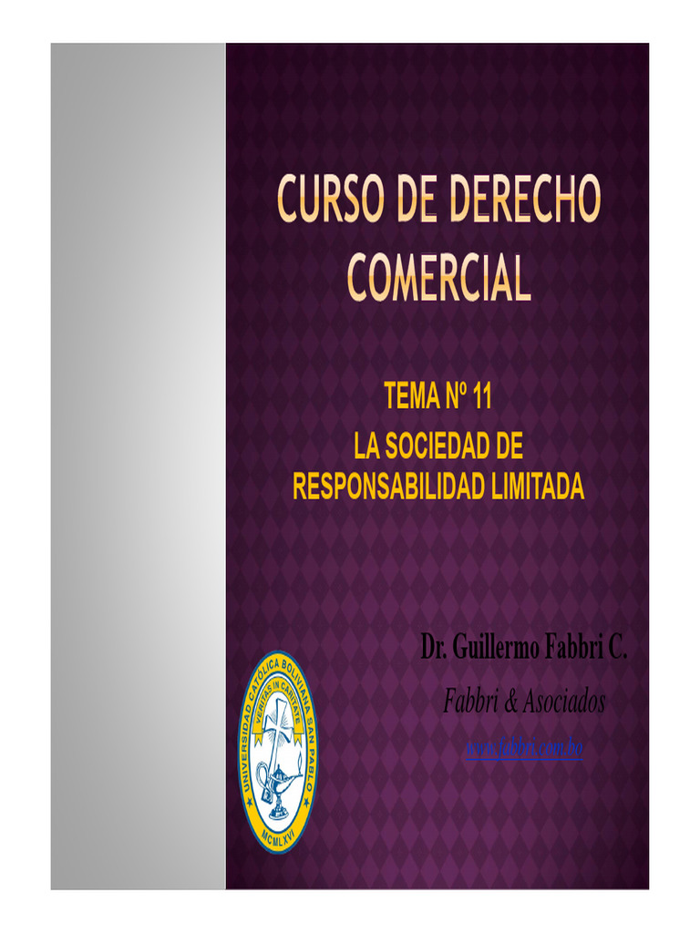 Tema #11 SRL (2023) | PDF | Economias | Negocios económicos