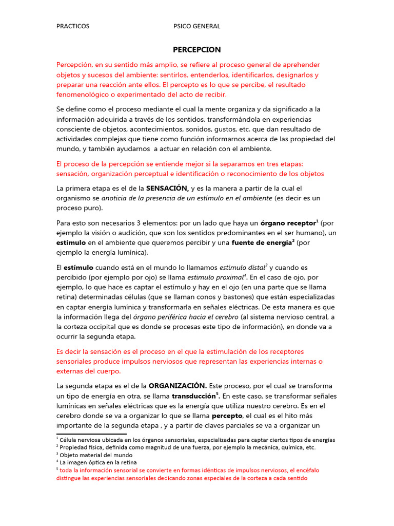 Percepción: Etapas y Conceptos Clave | PDF | Percepción | Cerebro