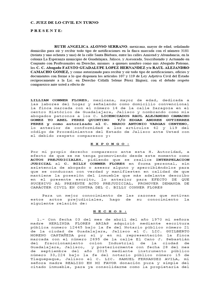 Interpelacion Conner | PDF