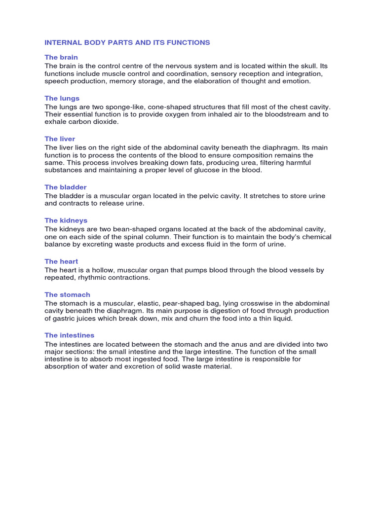 Internal Body Parts and Functions | PDF | Wellness
