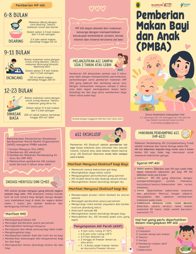 Panduan Pemberian Makanan Bayi | PDF