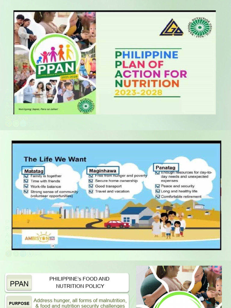 Ppan-2023-2028 Nao MTG Dec 7 | PDF | Human Nutrition | Wash