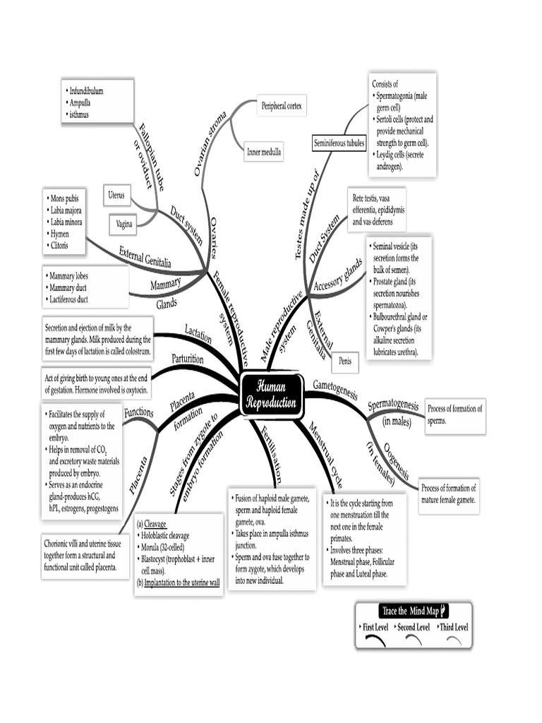Mind Map Reproduction | PDF