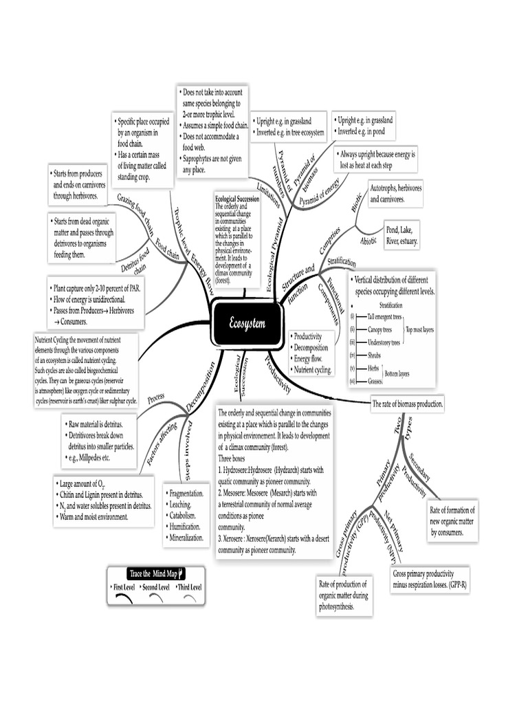 Mind Map Ecosystem | PDF