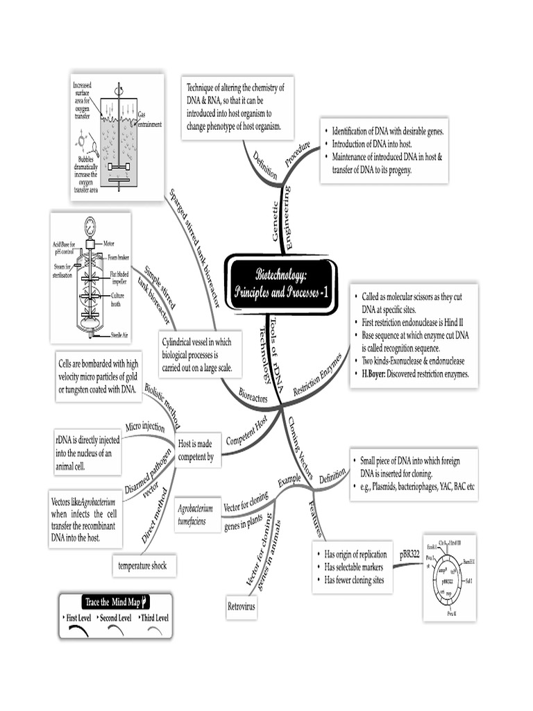 Mind Map Biotechnology 1 | PDF