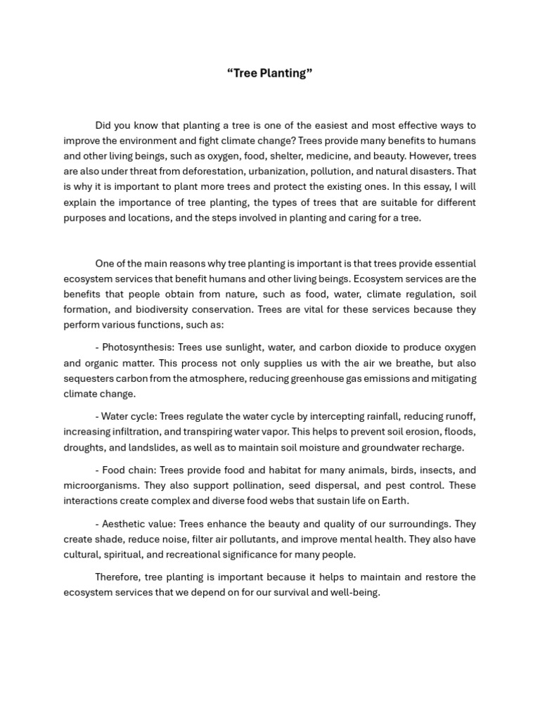 Informative Essay Tree Planting 2024 | PDF | Soil | Trees