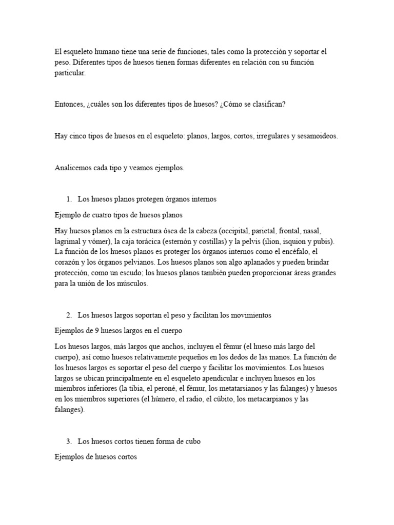 Esqueleto Humano | PDF | Esqueleto | Hueso