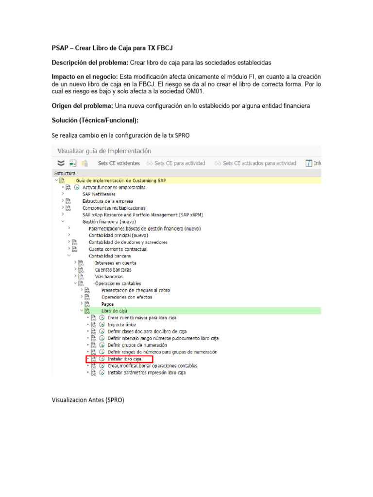 PSAP Crear Libro de Caja para TX FBCJ | PDF