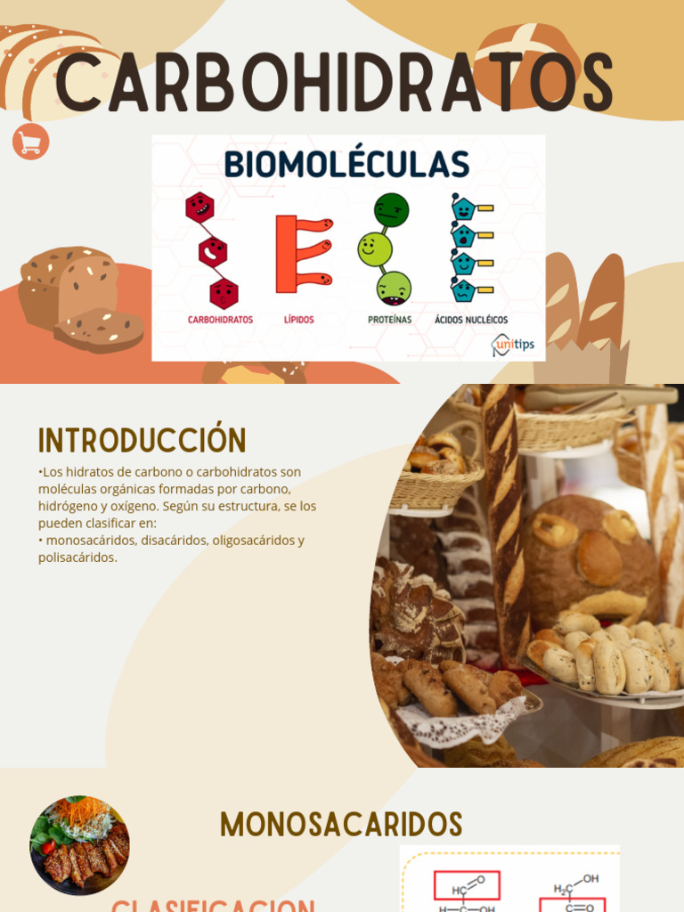 CARBOHIDRATOS | PDF | Glucosa | Carbohidratos