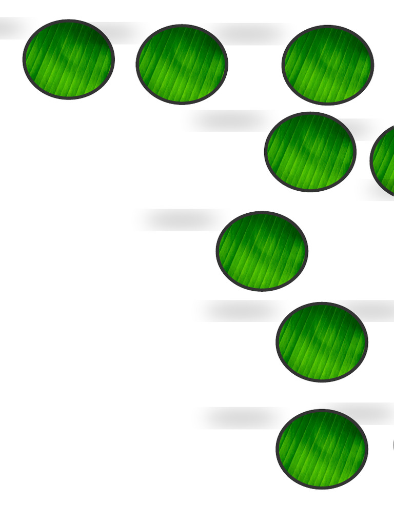 Bendi | PDF Bendi | PDF