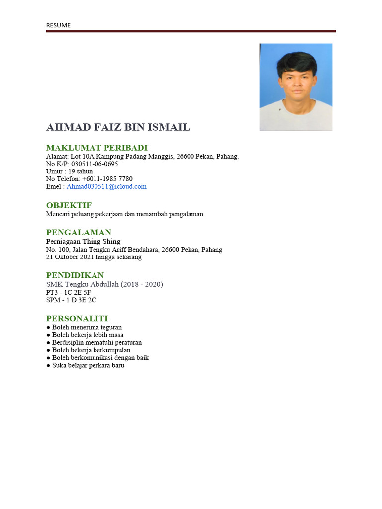 Resume Faiz | PDF