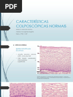 Ectopia Cervical: Definição e Tratamento | PDF | Câncer cervical ...