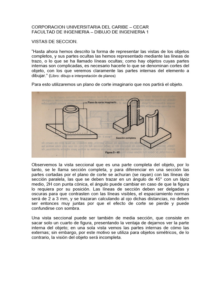 Guia Clase Vistas de Seccion | PDF