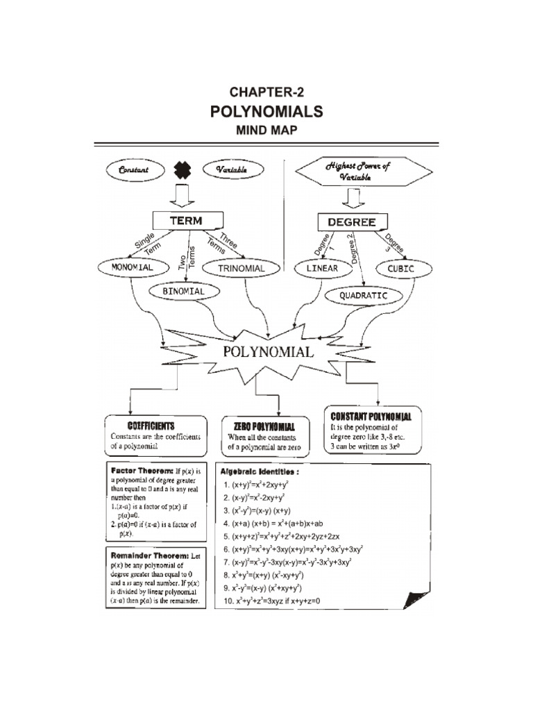 Polynomials Notes With Questions | PDF