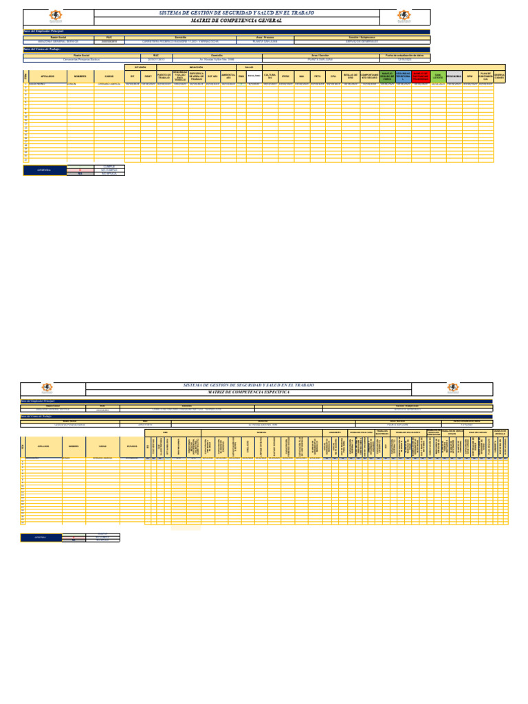 Matriz de Competencia y Habilidades - Ags | PDF