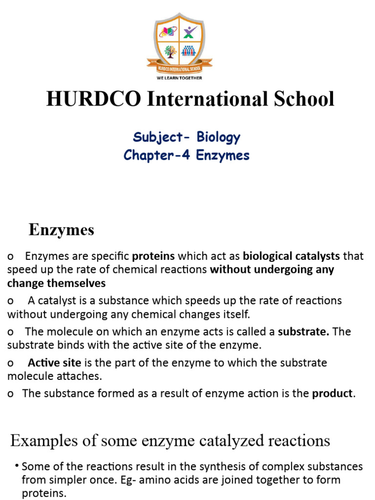 Grade 8 Chapter 4 Enzymes | PDF | Enzyme | Active Site