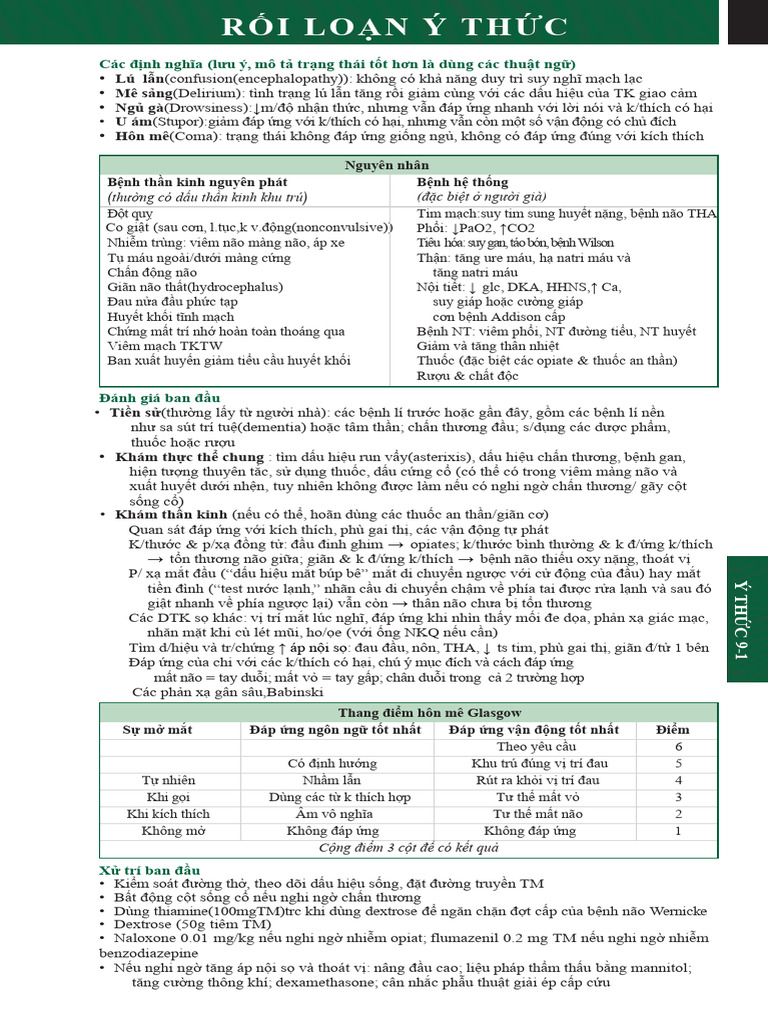 Rilonýthc: Các Đ NH Nghĩa (Lưu Ý, Mô T TR NG Thái T T Hơn Là Dùng Các Thu T NG) | PDF