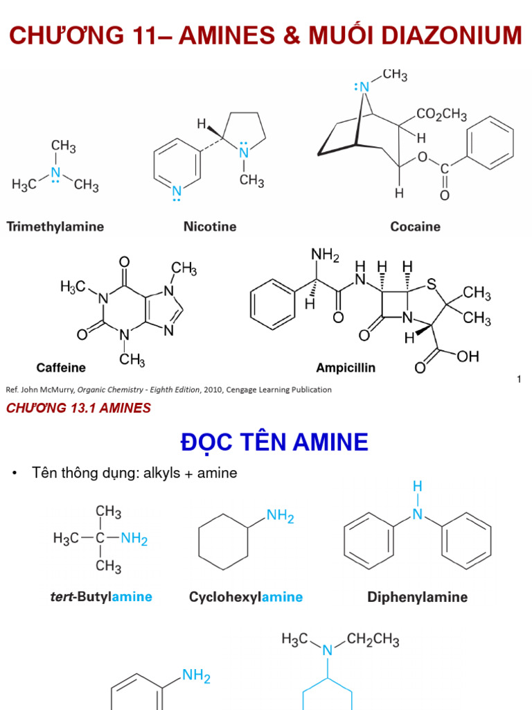 Chapter 13 Full VN SV Amin | PDF