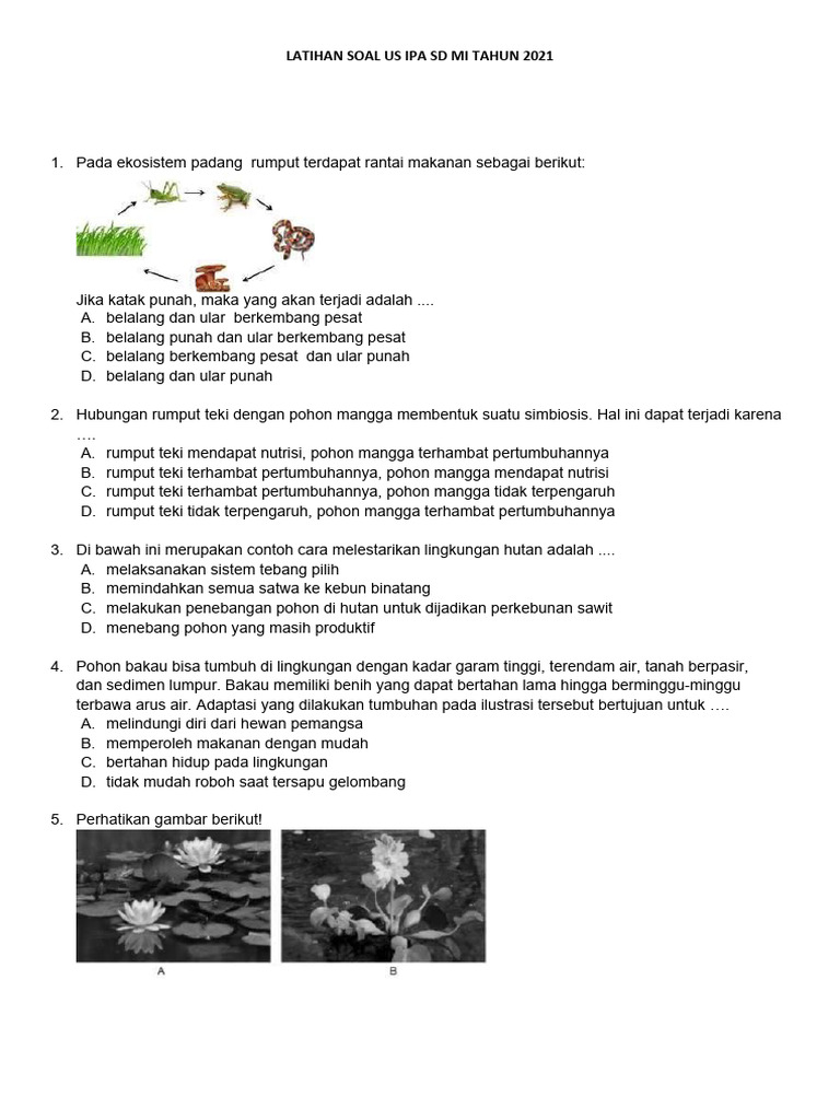 Latihan Soal Us Ipa SD 2021 | PDF | Sains & Matematika