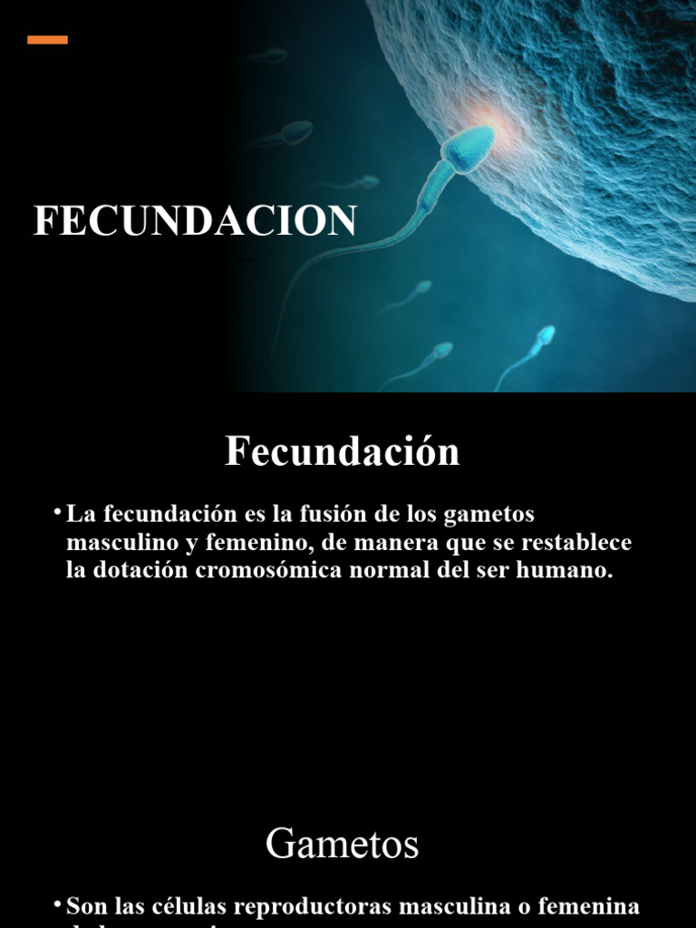 FECUNDACION | PDF