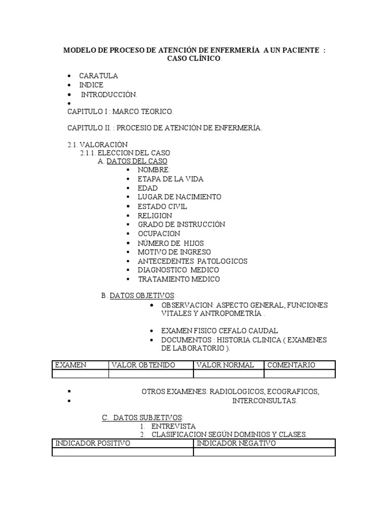 Modelo Pae - Esquema Caso Clinico | PDF | Relaciones personales, crianza y desarrollo personal