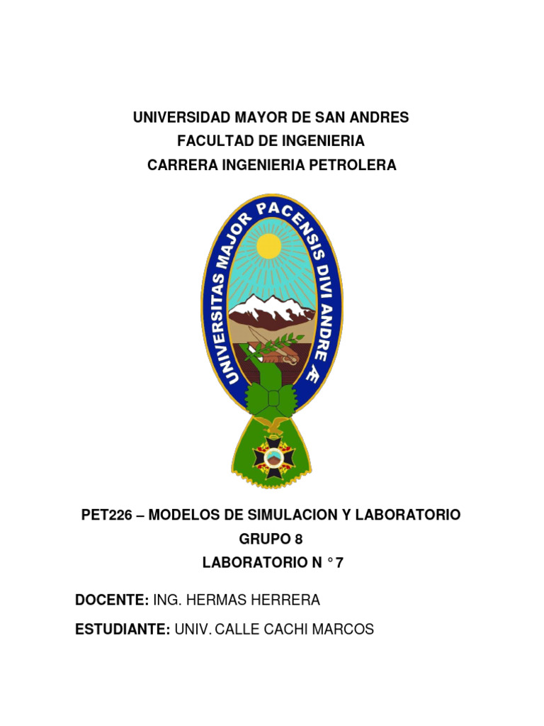 2 Sim | Descargar gratis PDF | Simulación