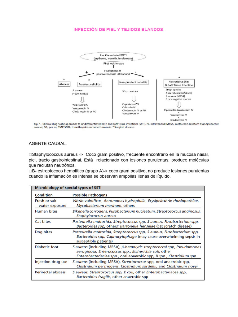 Infección de Piel y Tejidos Blandos | PDF | Staphylococcus Aureus | Especialidades Medicas