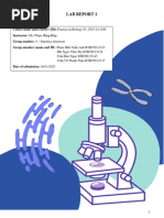 Onion Cell Osmosis Experiment Guide | PDF | Osmosis | Cell Biology