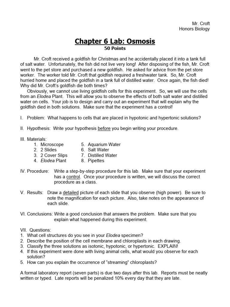 Osmosis Lab | PDF | Osmosis | Cell Biology