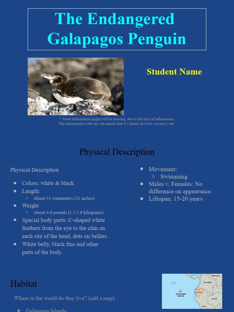 Endangered Galapagos Penguin Facts | PDF | Predation | Birds