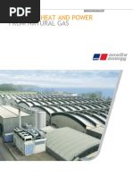 Natural Gas Conversion Chart | PDF