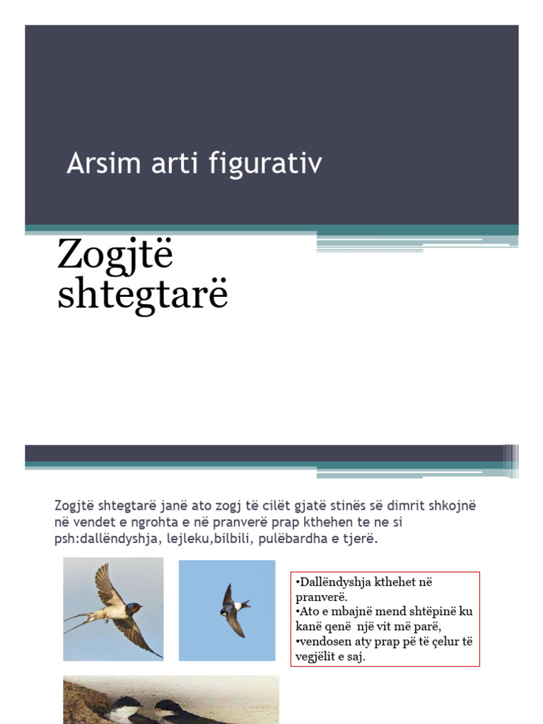 Zogjtë Shtegtarë | PDF