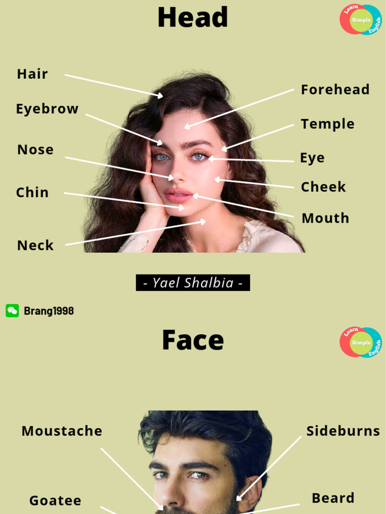 Body Parts Vocabulary for Kids | PDF