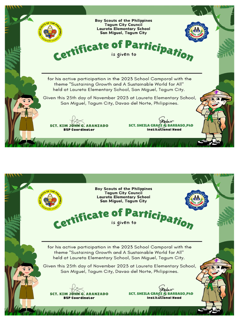 BSP Certificate | PDF