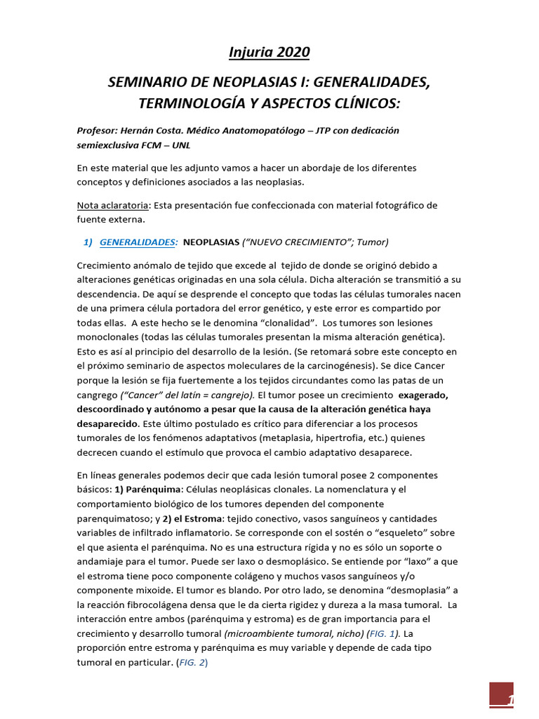 Neoplasias: Conceptos y Clasificación | PDF | Cáncer | Neoplasias