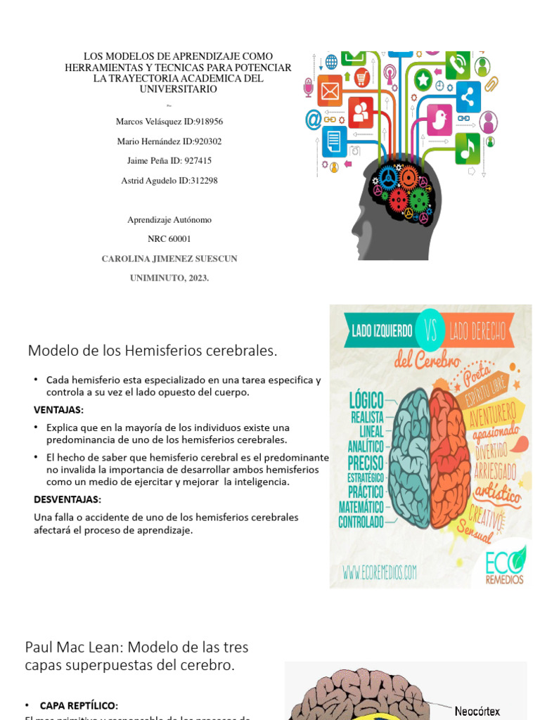 Los Modelos de Aprendizaje Como Herramientas y Tecnicas 1 | PDF | Aprendizaje | Hemisferio cerebral