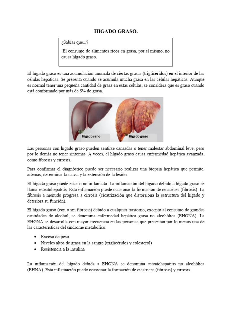 Higado Graso | PDF | Obesidad | Cirrosis