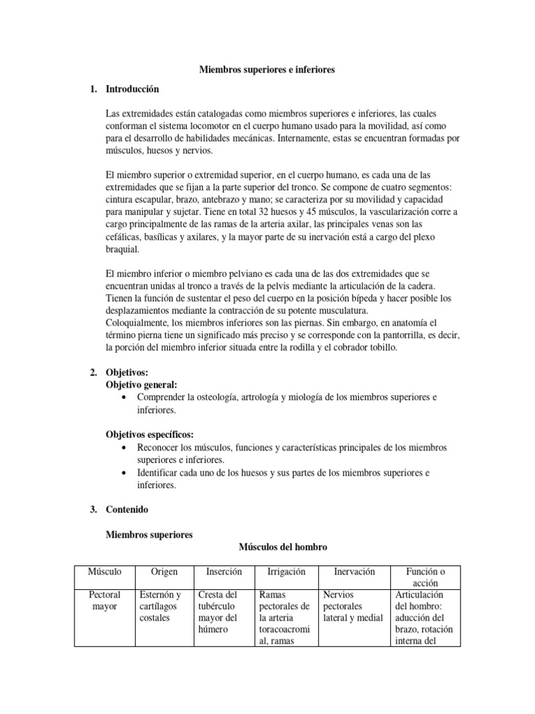 Anatomía de Miembros Superiores e Inferiores | PDF | Mano | Pie