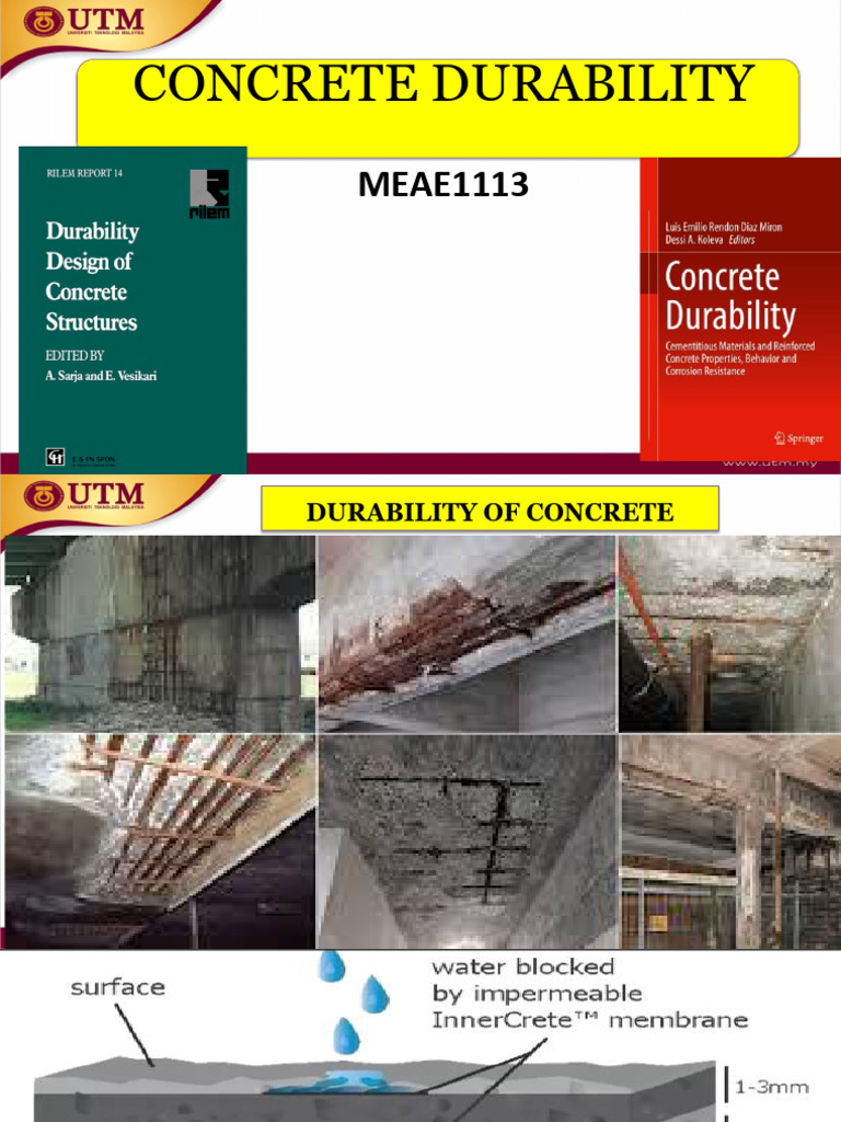 8) Concrete Durability | PDF | Concrete | Cement