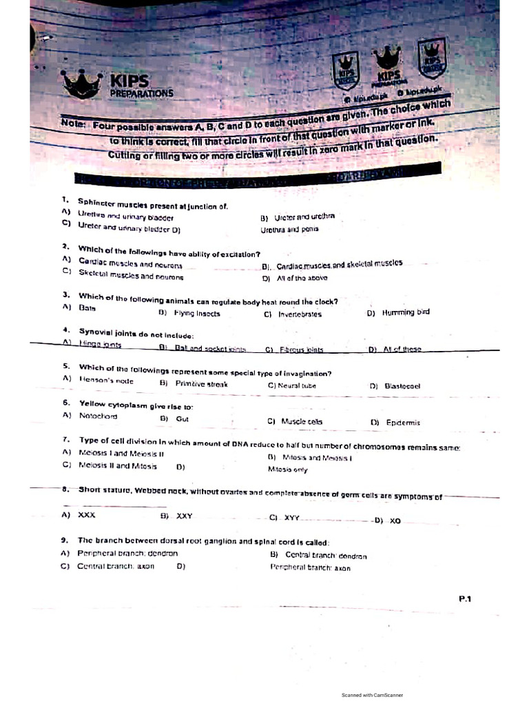 Kips Pre Evaluation Test 2021 | PDF