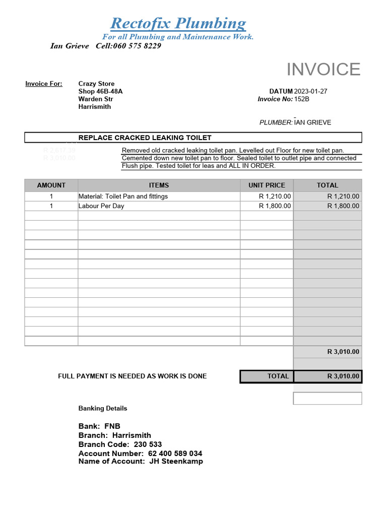 Plumbing Invoice for Crazy Store | PDF
